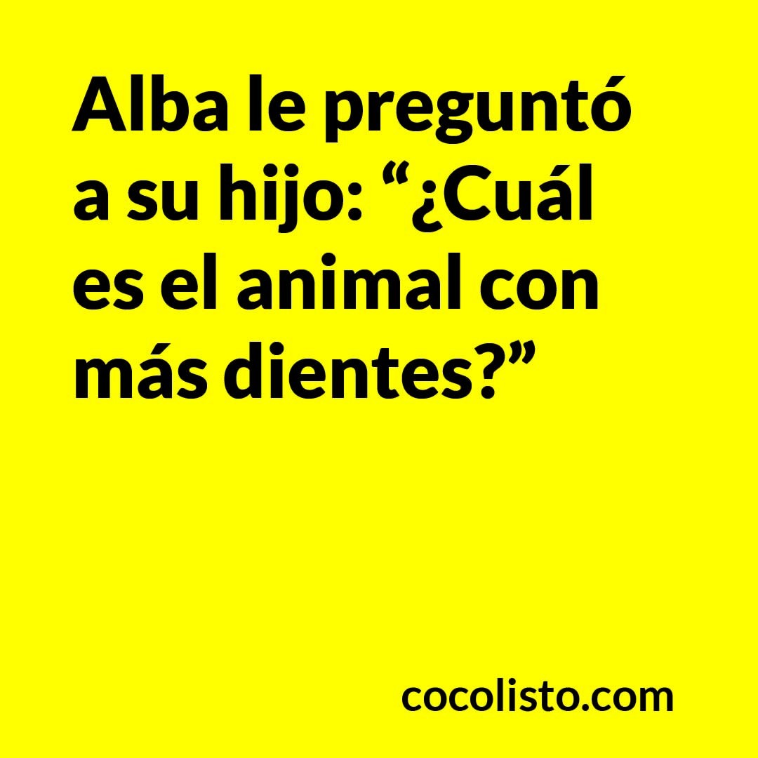 Alba Le Pregunt A Su Hijo Cu l Es El Animal Con M s Dientes Frases Alba Le Pregunt A Su Hijo Cu l Es El Animal Con M s Dientes Frases