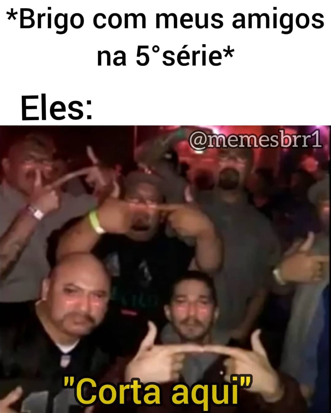 Onde você aprendeu a ser tão mentiroso assim? Eu: - Memes
