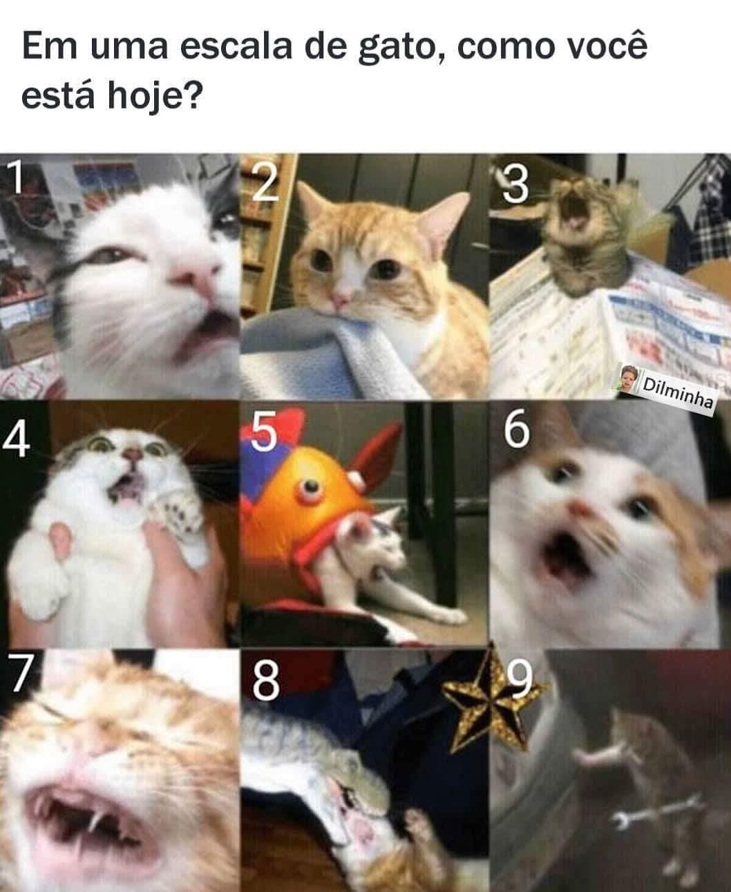 Como Voc N o Lembra De Mim Eu At Trocava Sua Fralda Quando Voc Era