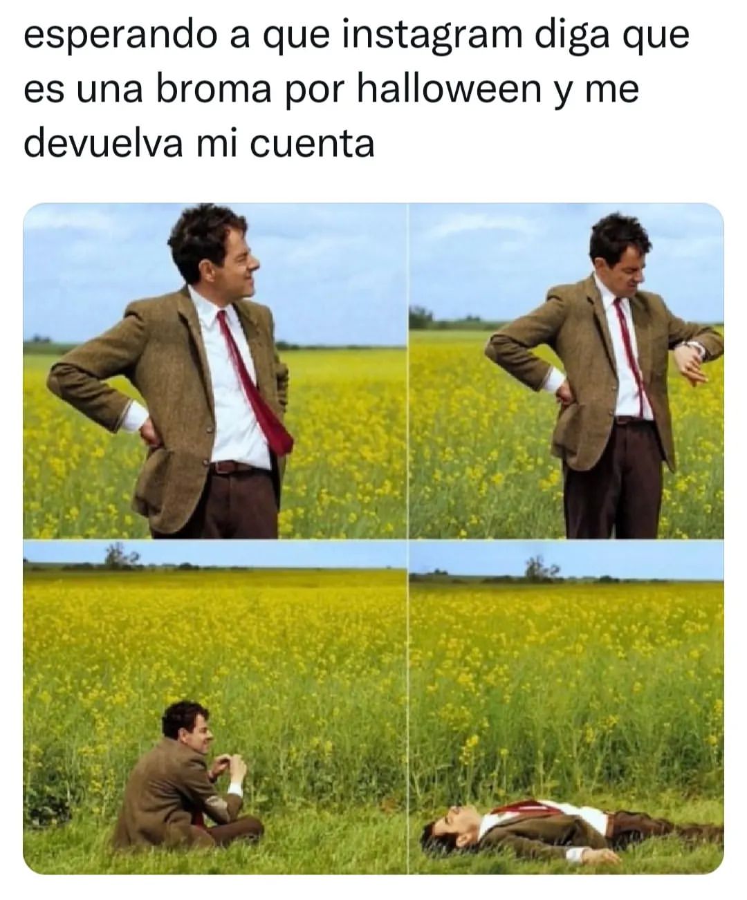 Esperando A Que Instagram Diga Que Es Una Broma Por Halloween Y Me