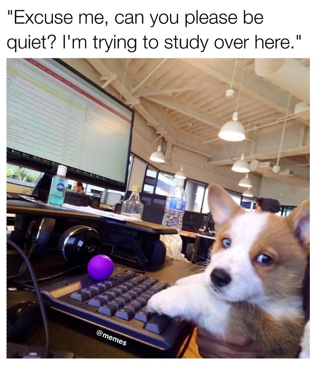 So What Have You Been Doing All Summer Me Funny