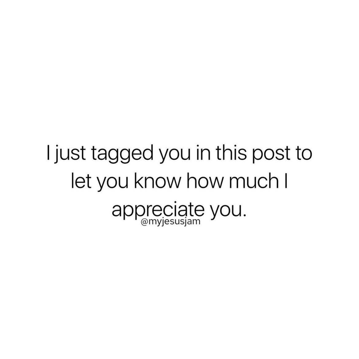 I Just Tagged You In This Post To Let You Know How Much I Appreciate I Just Tagged You In This Post To Let You Know How Much I Appreciate