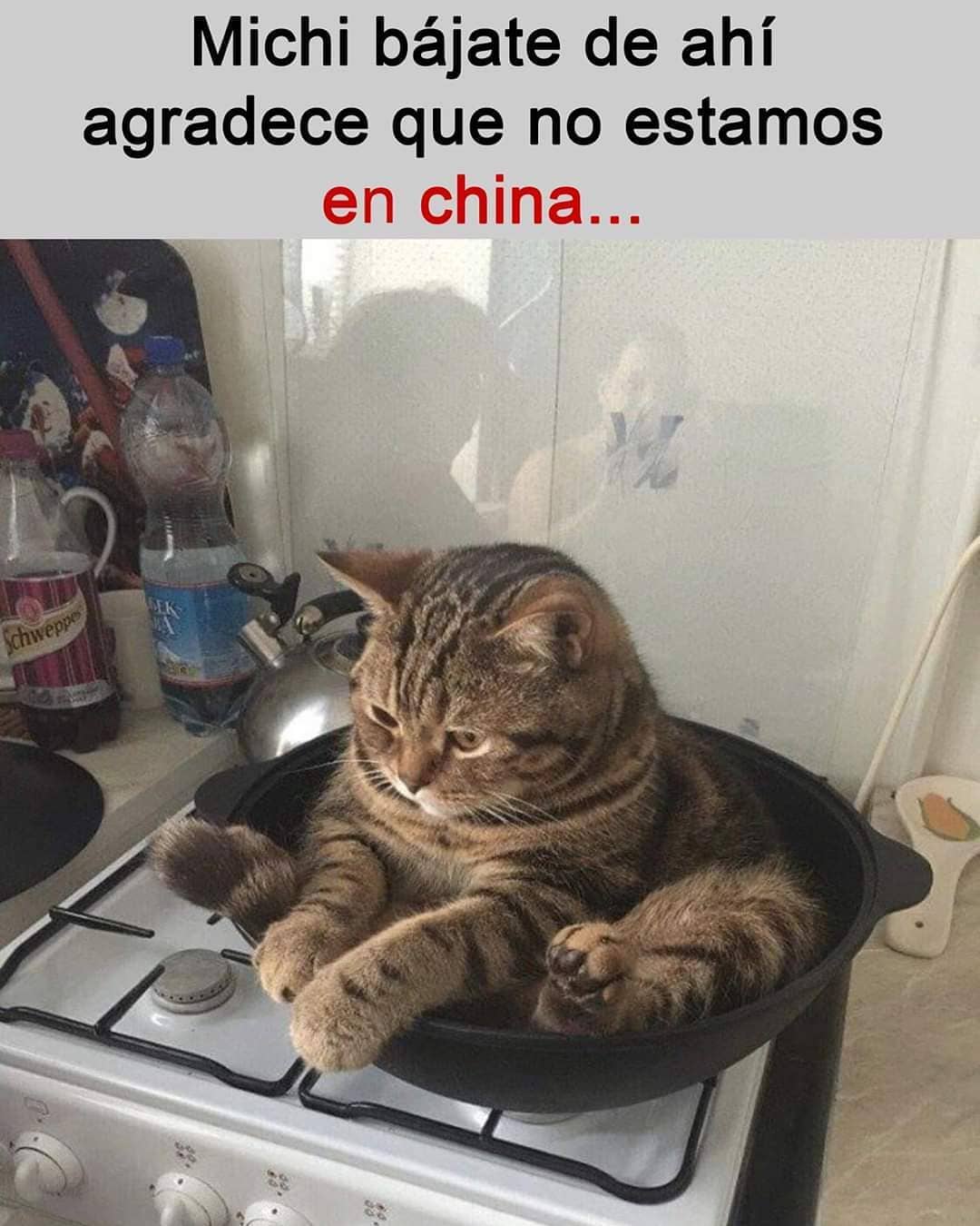 La Hermana De Lo Celso Es Lo Ceslo Con Pelo Largo Memes La Hermana De Lo Celso Es Lo Ceslo Con Pelo Largo Memes