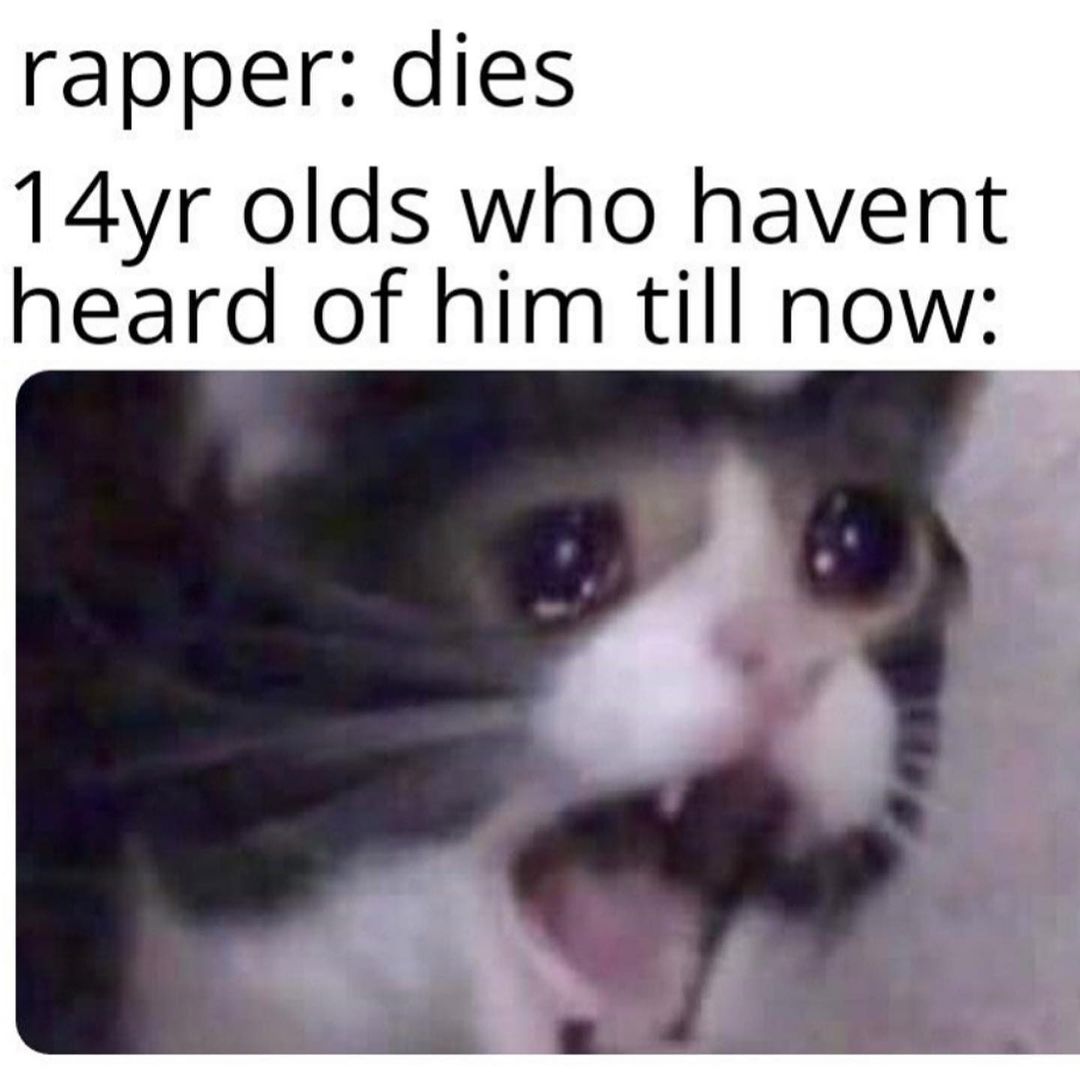 Rapper Dies 14yr Olds Who Haven t Heard Of Him Till Now Funny Rapper Dies 14yr Olds Who Haven t Heard Of Him Till Now Funny