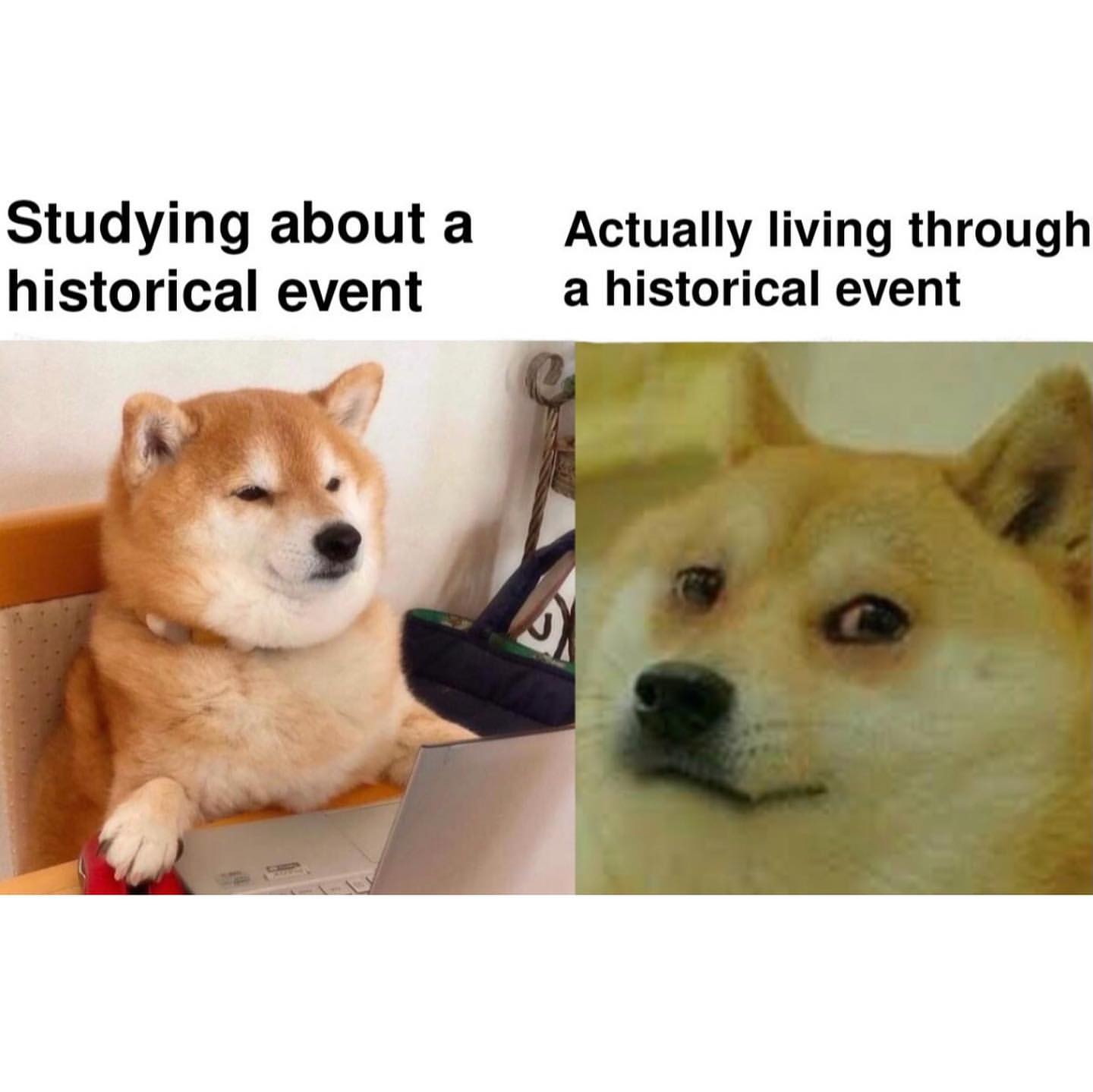 Studying About A Historical Event Actually Living Through A Historical Studying About A Historical Event Actually Living Through A Historical