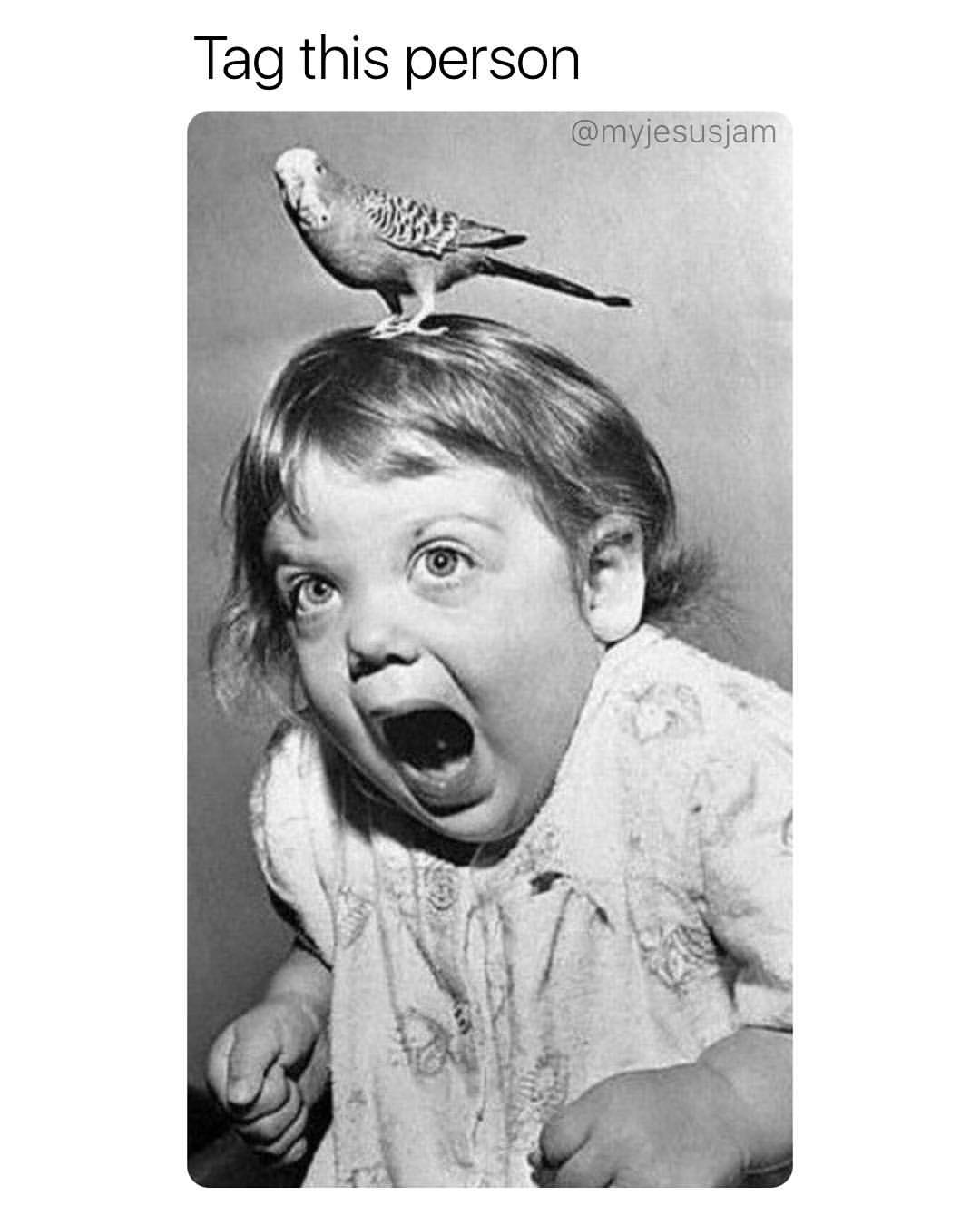 Tag This Person Funny