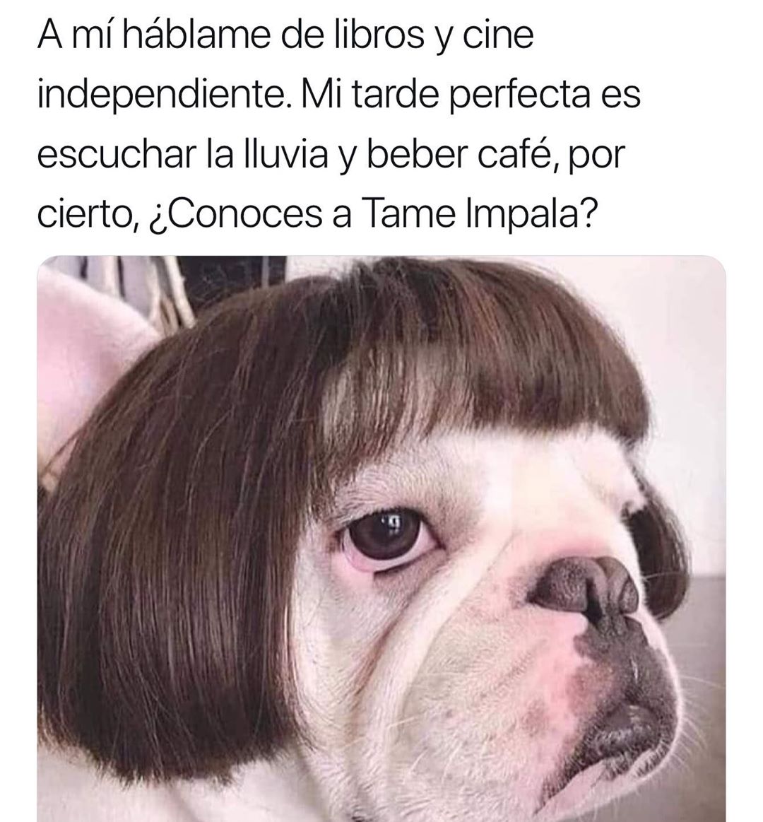 ¿Por qué es tan raro el humor milenario? La comedia que atrae a los ...