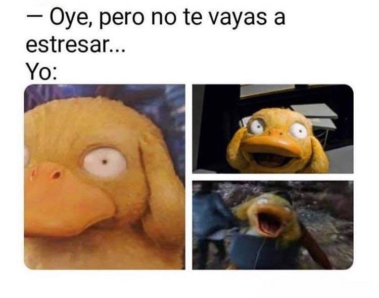 Cuando haces algo malo, pero no te arrepientes de nada. - Verbub Cuando haces algo malo, pero no te arrepientes de nada. - Verbub