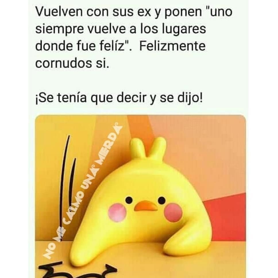 Loro Aprende A Decir C mo Vas Y Lo Hacen Project Manager Memes Loro Aprende A Decir C mo Vas Y Lo Hacen Project Manager Memes