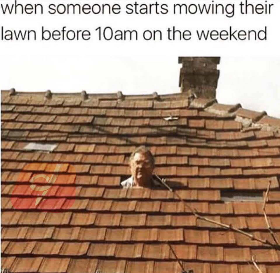 When Someone Starts Mowing Their Lawn Before 10am On The Weekend Funny