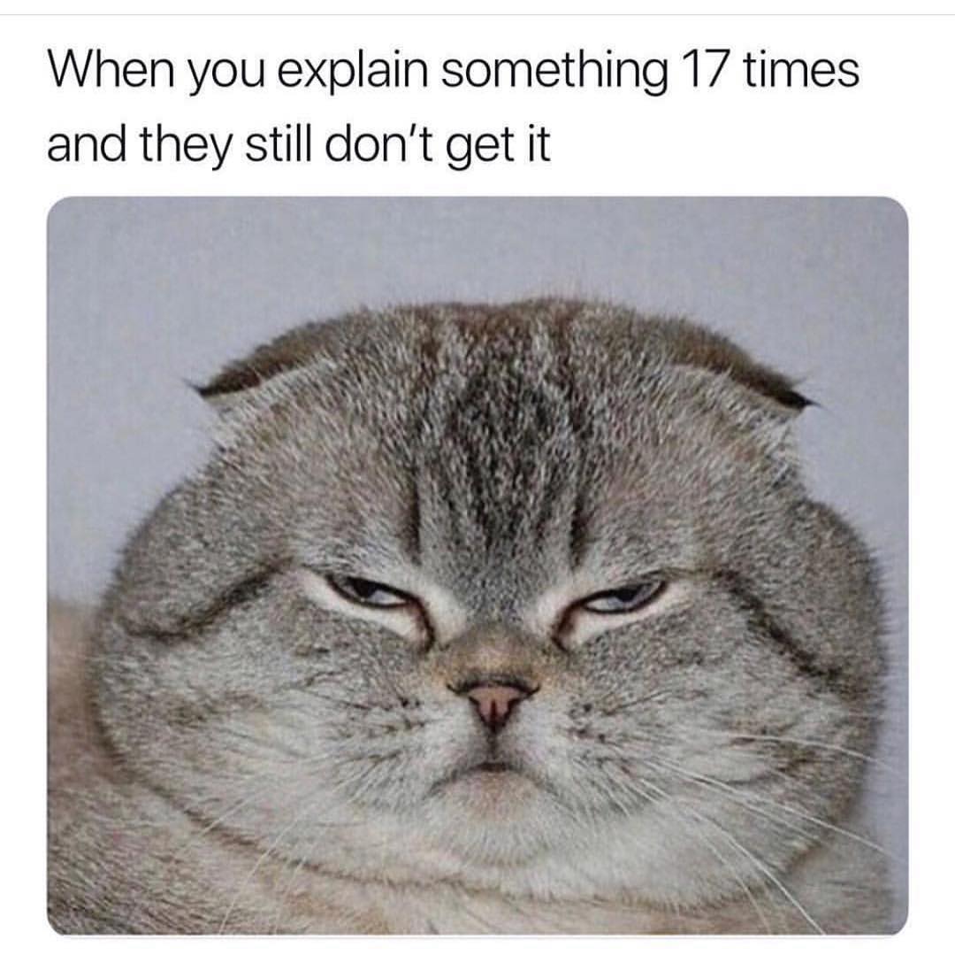 When You Explain Something 17 Times And They Still Don t Get It Funny