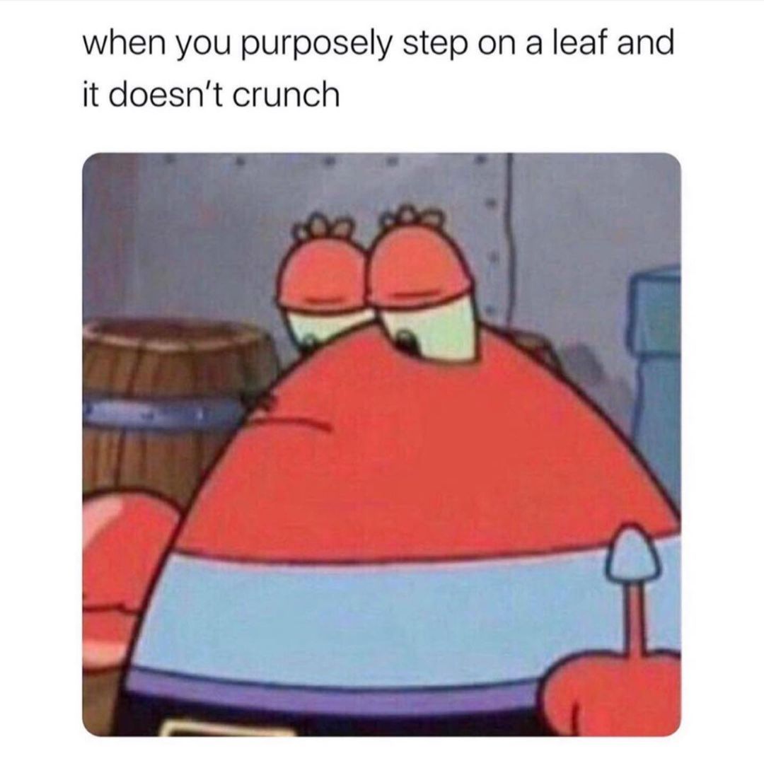 When You Purposely Step On A Leaf And It Doesn t Crunch Funny