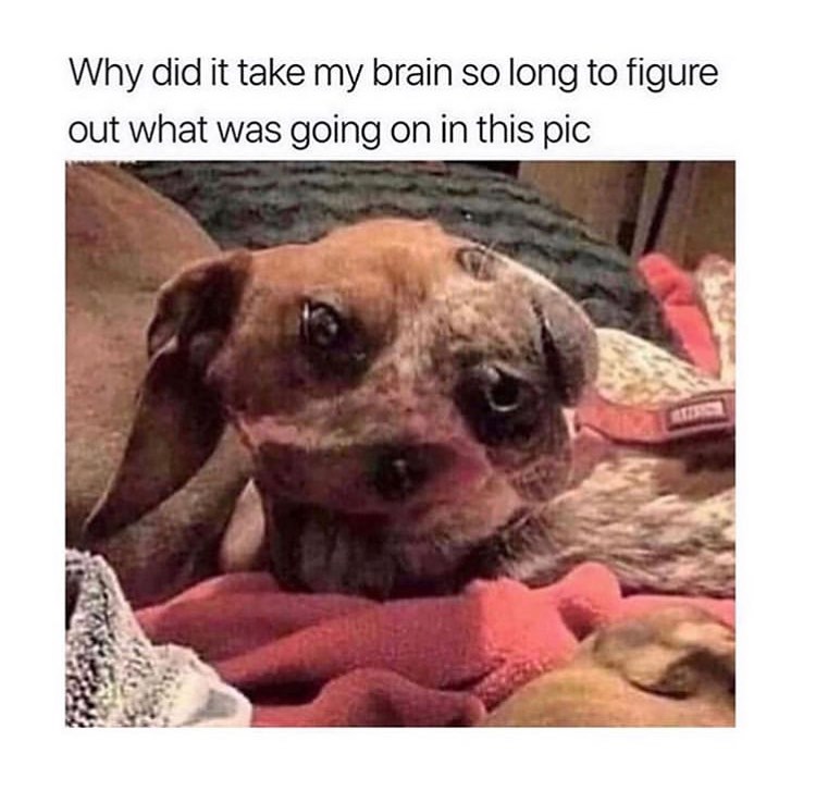 Why did it take my brain so long to figure out what was going on in ... Why did it take my brain so long to figure out what was going on in ...