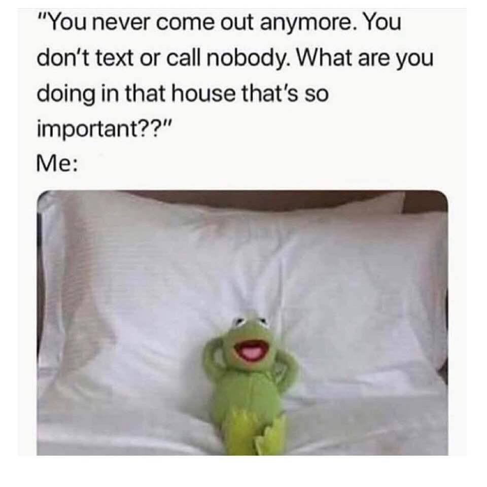All My Good Grades My Family One Bad Grade Funny All My Good Grades My Family One Bad Grade Funny